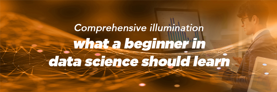 Comprehensive Illumination on What A Beginner in Data Science Should ...